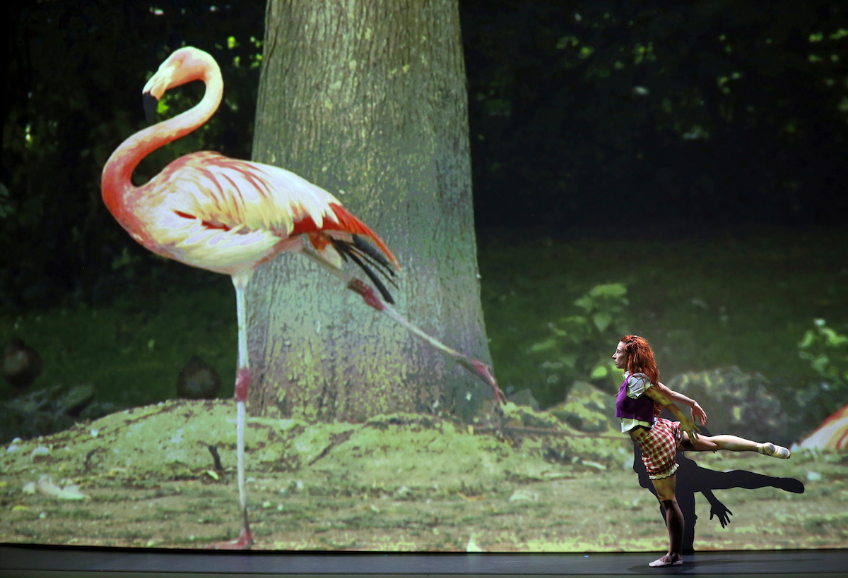 Asa Nisi Masa – Passedanse